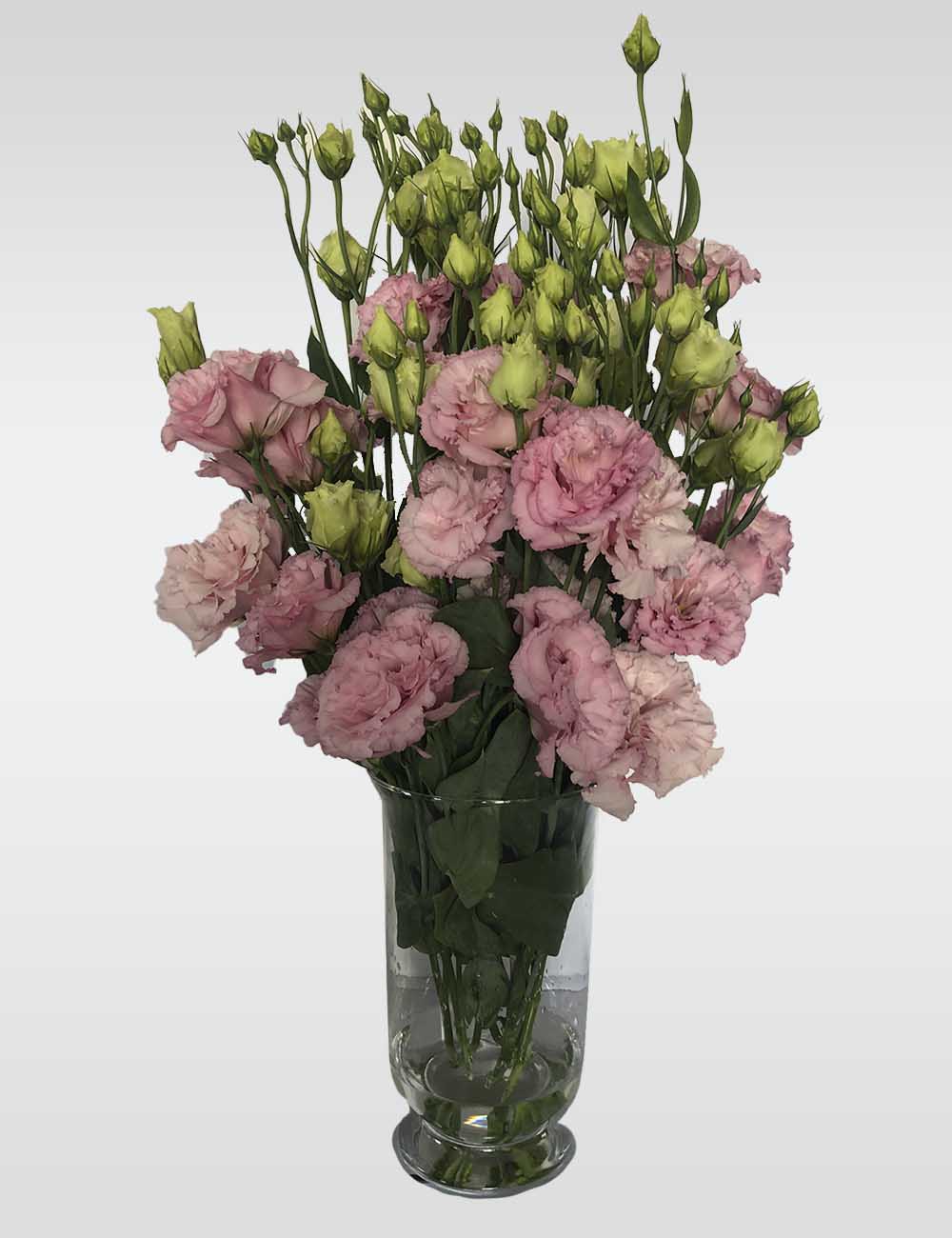 Flores y Ramos » Te llevo flores